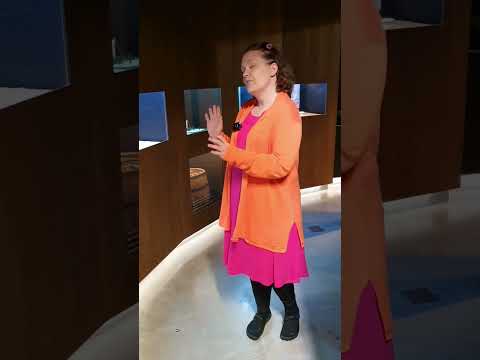 Ahvenanmeri Viestinviejät