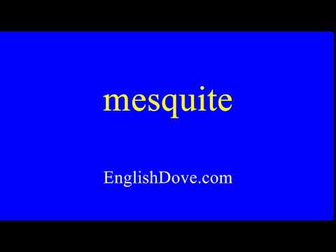 How to pronounce mesquite in American English.
