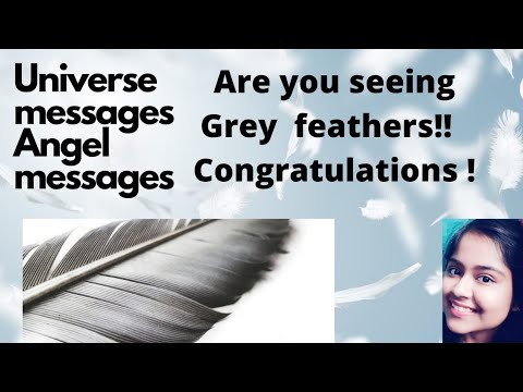 Universe messages ๐Grey feathers meaning ๐ฆ๐ฆ๐๐