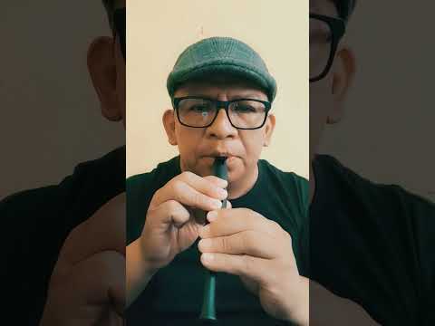 TONETTE instrumento musical de Viento #flauta #flautadulce #music #musica #tonette