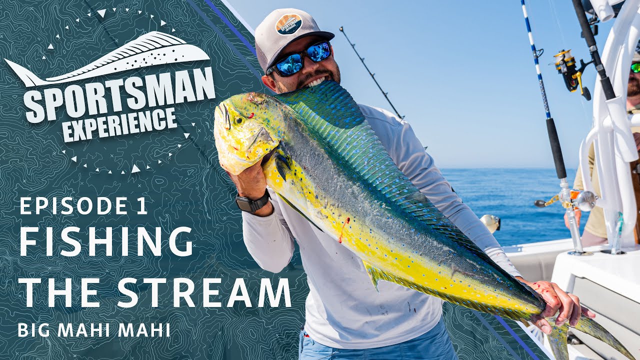 Fishing The Stream – Big Mahi Mahi | Sportsman Boats