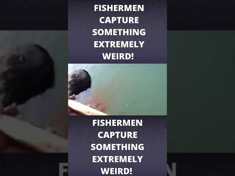 FISHERMEN CAPTURE SOMETHING EXTREMELY WEIRD! | #aquaman #cryptid #seacreature