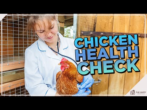 Flock Wellness Check: Expert Tips for Assessing and Maintaining Your Chickens' Health!