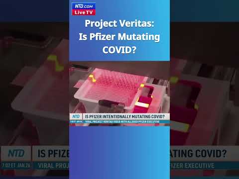 Is Pfizer Intentionally Mutating #COVID? - NTD Good Morning