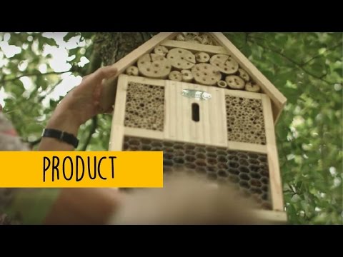 Insectenhotel: hoe plaats je een insectenhotel?
