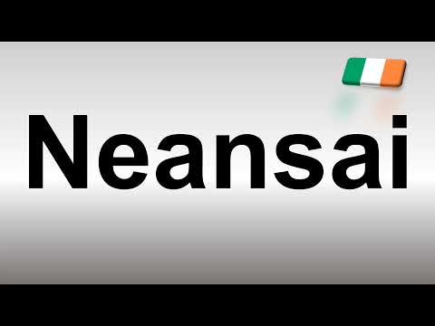 How to Pronounce Neansai