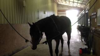 Barn Manager Overview | What is a barn manager? - Zippia