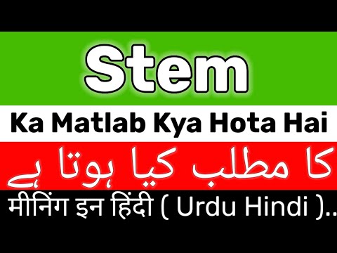 Stem Meaning | Stem Meaning In Urdu | Stem Ka Matlab Kya Hai | Stem Ka Meaning Kya Hai | Stem