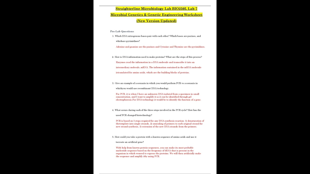 Straighterline Microbiology BIO250L Lab 7 Microbial Genetics & Genetic Engineering Worksheet Questio