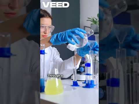Photosynthesis Made Simple #science #photosynthesis