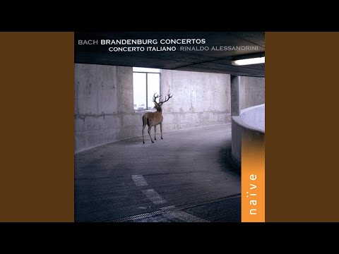 Six Brandenburg Concertos, No. 1 in F Major, BWV 1046: III. Allegro
