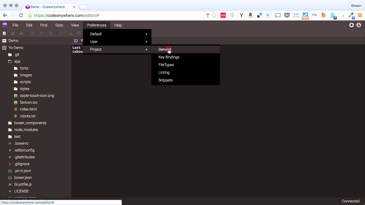 Recovery Tips for Working with CodeAnywhere.com