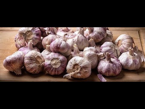 Herb of the Week : Garlic