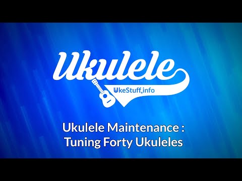 Ukulele Maintenance: Tuning Forty Ukuleles