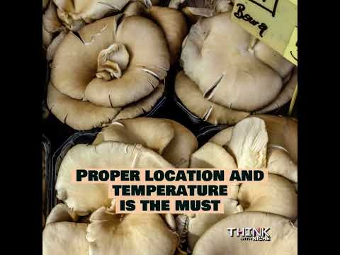 Grow Mushrooms at Home and Start a Sustainable Business