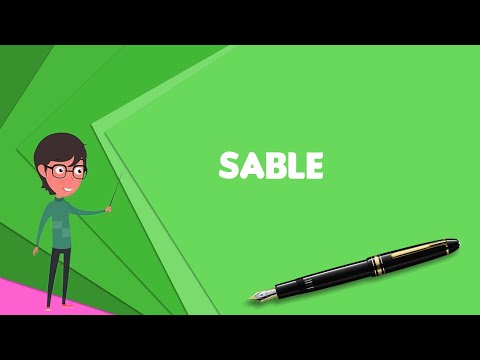 What is Sable? Explain Sable, Define Sable, Meaning of Sable