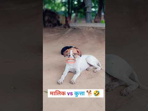 मालिक vs कुत्ता 🐕😂🤣 #funny #thetharpuns #aalupyajjoke #comedy