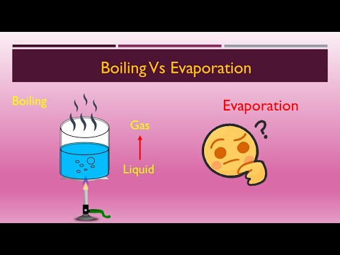What Is The Difference Between Boiling And Evaporation? | Chemistry Facts For Kids| Basic Chemistry.