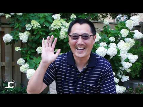 How to Sound Like a Local Pt 1 / Toronto, Ontario, Canada