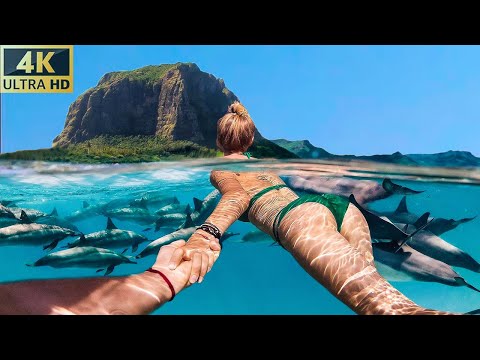4K Ibiza Summer Mix 2022 ๐ Best Of Tropical Deep House Music Chill Out Mix By Imagine Deep