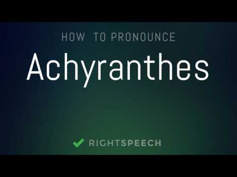 Achyranthes - How to pronounce Achyranthes