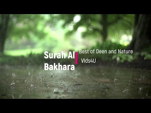 Surah Al Baqarah || Beautiful Recitation by Islam Sobhy with Relaxing Rain sounds.