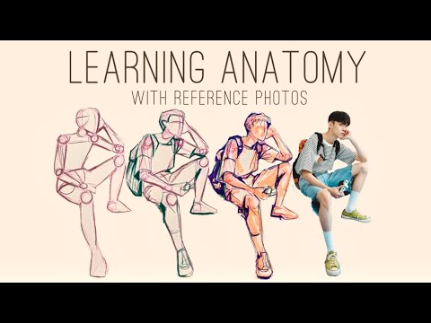 Learning anatomy with reference photos