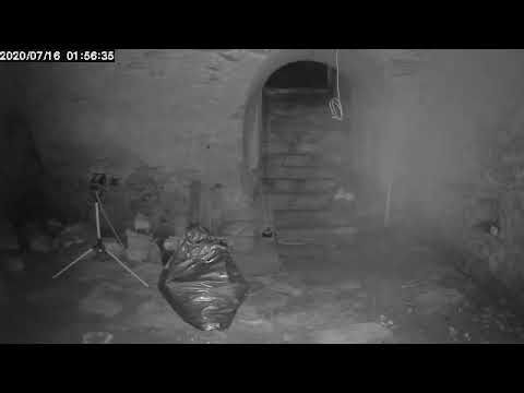 Germany 2020 | Orb sighting in 300 year old vaulted cellar?