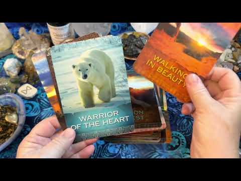 Native Spirit Oracle Cards by Denise Linn Deck Flip Through #oraclecards #oraclecarddeck #deniselinn