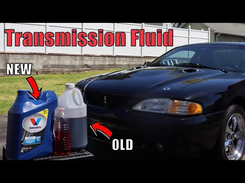 Transmission Fluid Change | 1998 Mustang Cobra (T45) [MANUAL TRANSMISSION]
