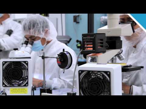 NEO Tech: Wirebonding