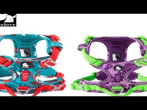 Truelove Pet Dog Harness Camouflage Reflective Nylon Dog Harness Special Edition Easy to Adjust TLH