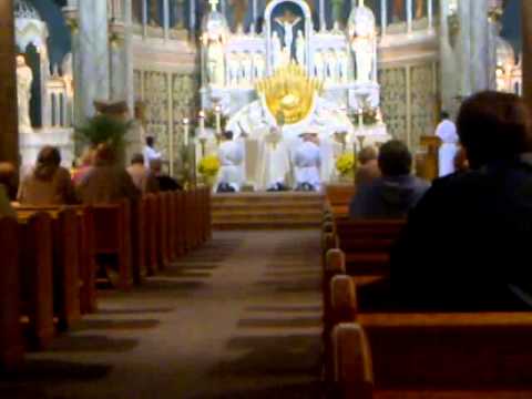 Down in Adoration Falling - 40 Hours Devotion