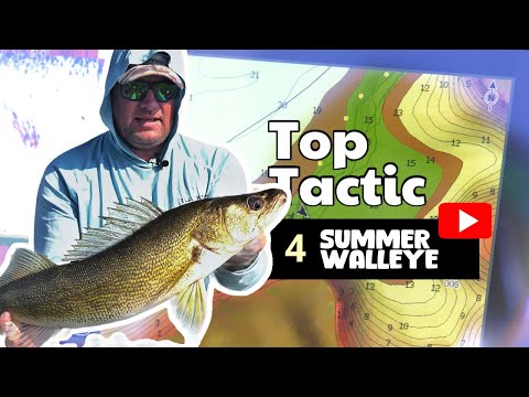 Top Tactic for Catching Summer Walleye | Bottom Bouncers and Spinners Along Deep Weed Edges