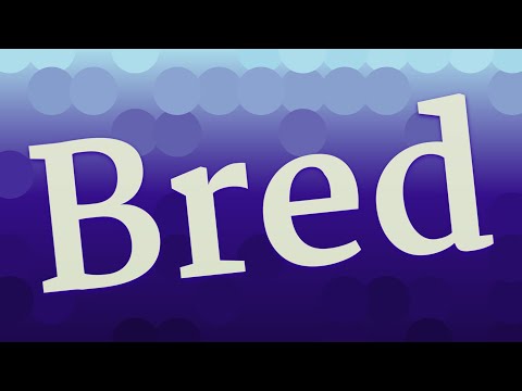 BRED pronunciation โข How to pronounce BRED