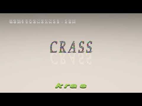 crass - pronunciation + Examples in sentences and phrases