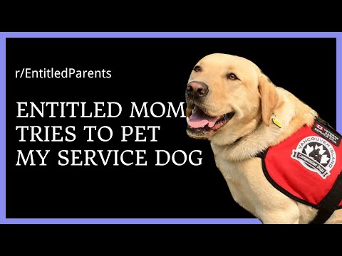 Entitled Mom Demands to Pet My Service Dog (r/Entitled Parents) Reddit Stories