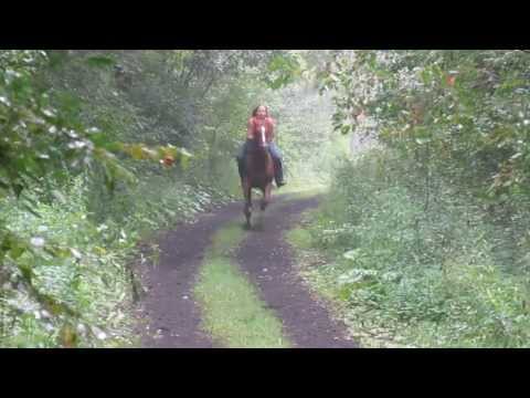 Galloping full speed bareback