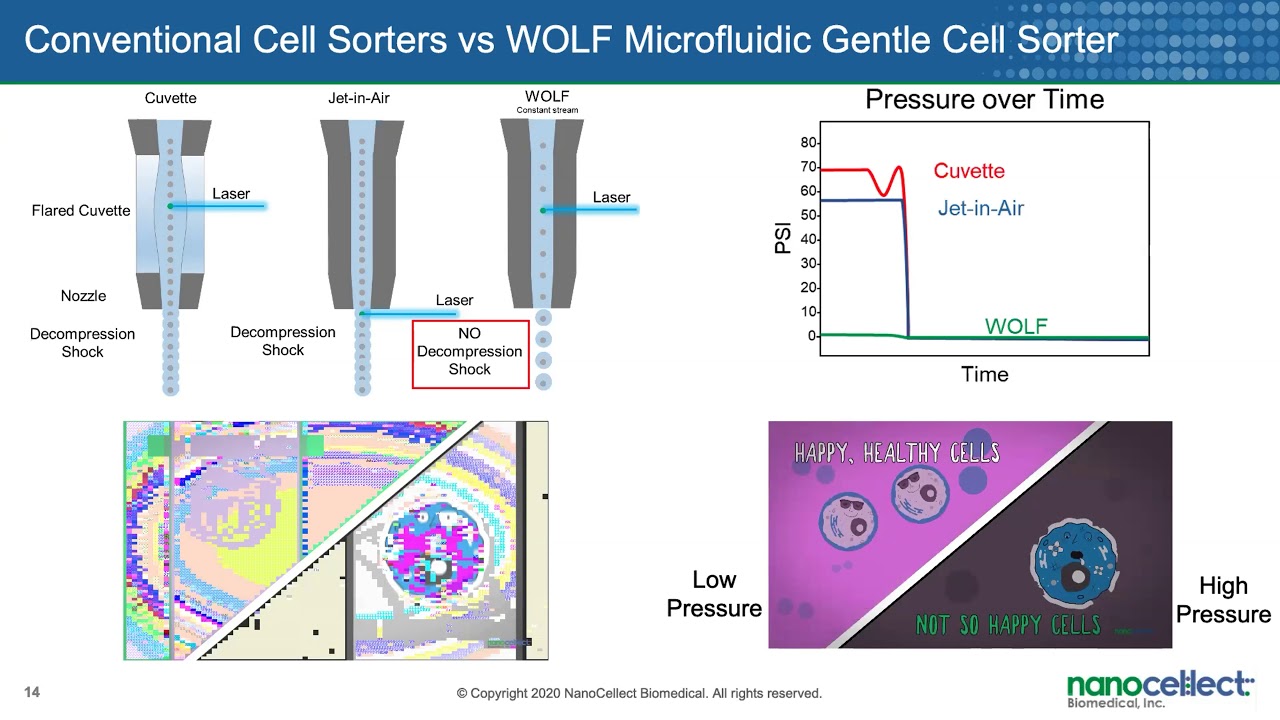 NanoCellect Biomedical: 05/13/20