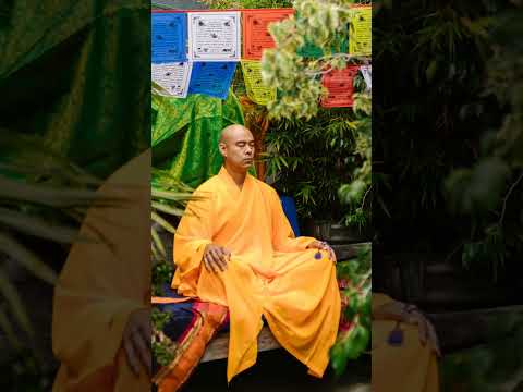 DISCOVERING ZEN ☯️ | A JOURNEY  into the WORLD 🌏 of JAPANESE 🇯🇵 MEDİTATİON and PHILOSOPHY ⛩