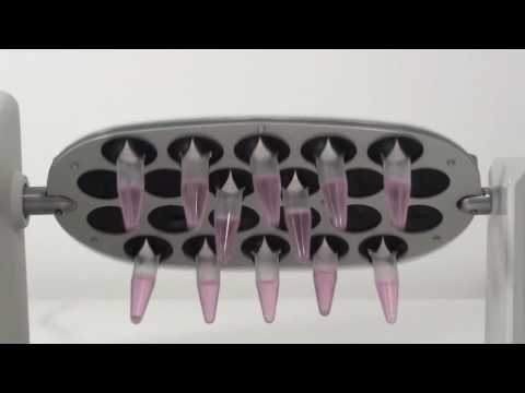 Lab Rotator - Laboratory Rotator Latest Price, Manufacturers & Suppliers