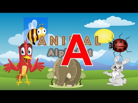 Animal Alphabet A | Learning animals name start with a letter A, A to Z pre-k education, toddlers