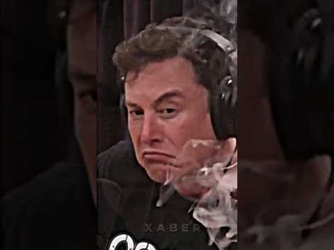 Elon Musk vs Mr.Beast