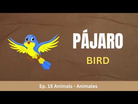 How to say BIRD in Spanish | Animals [Vocab Ep. 15]