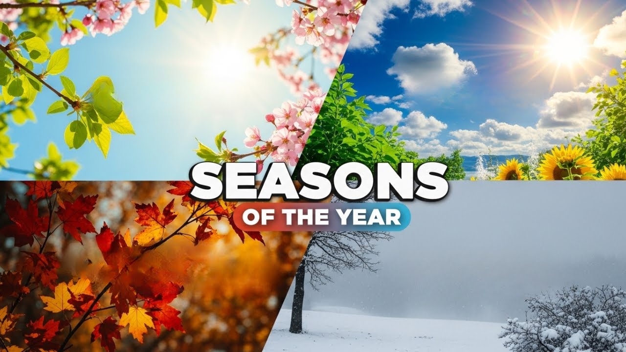 Weather and the Seasons of the Year – English Maturita Exam | Learn Vocabulary & Speaking