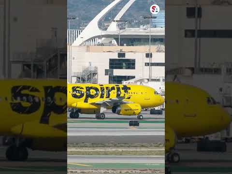 Who’s got spirit? JetBlue threatens the Spirit-Frontier merger