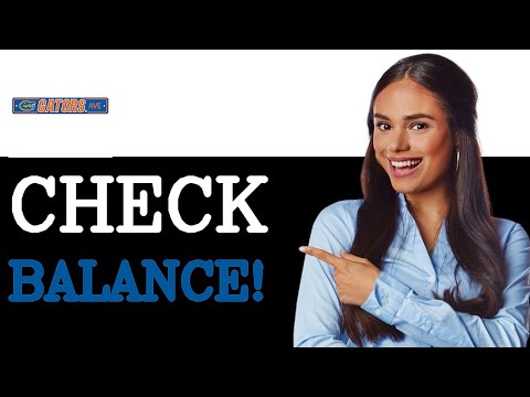How To Check EBT Balance In Florida (2025)