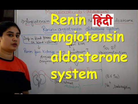 Renin angiotensin aldosterone system in Hindi | angiotensin work | functions | Role in B.P.