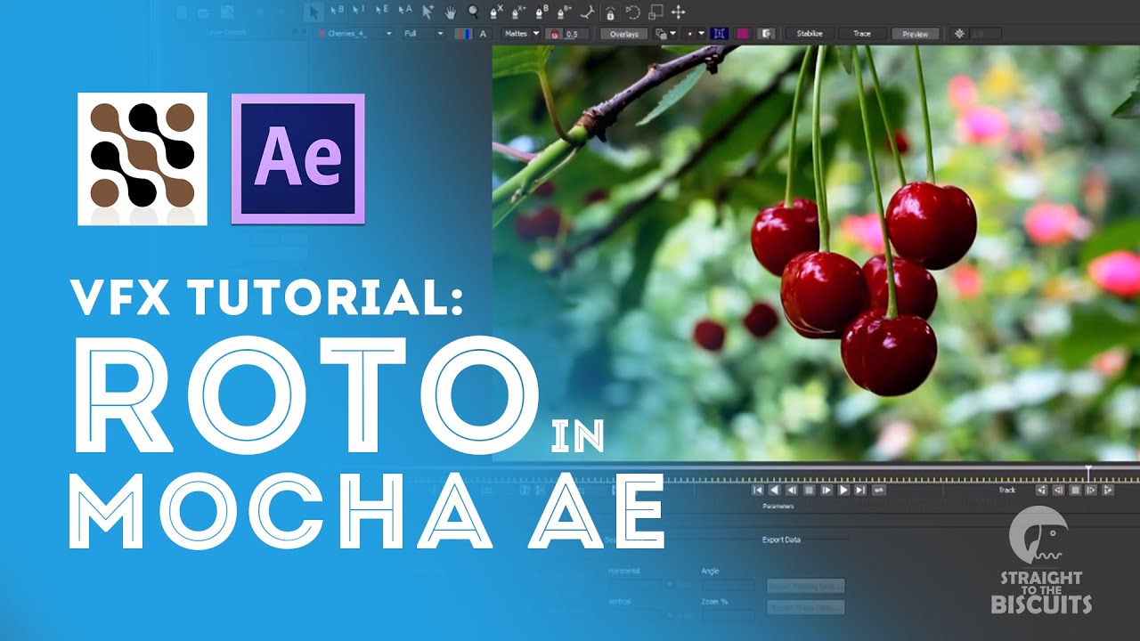 VFX Tutorial - Rotoscoping in Mocha AE