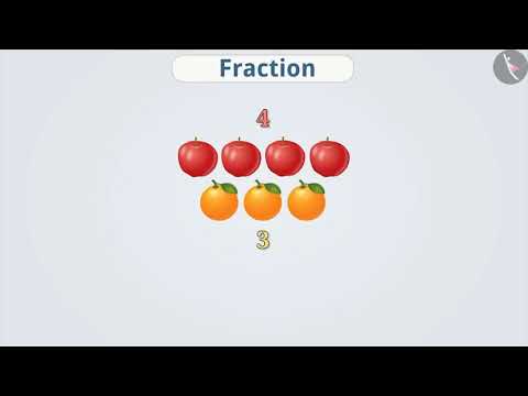 Meaning of fractions | Part 1/3 | English | Class 6